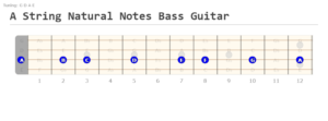 Bass Notes on Neck | Easily Learn the Fretboard - playelectricbass.com