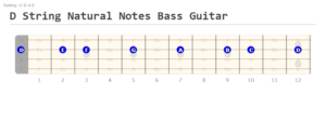 Bass Notes on Neck | Easily Learn the Fretboard - playelectricbass.com