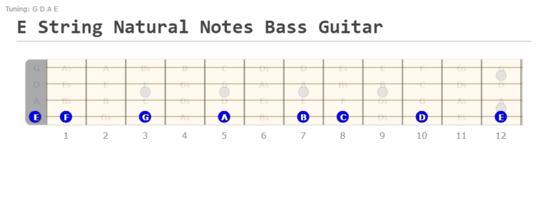 Bass Notes on Neck | Easily Learn the Fretboard - playelectricbass.com