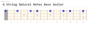 Bass Notes on Neck | Easily Learn the Fretboard - playelectricbass.com