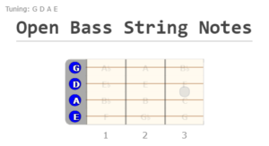 Bass Notes on Neck | Easily Learn the Fretboard - playelectricbass.com