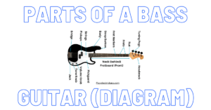 What Are The Parts of A Bass Guitar? (16-Part Diagram and Anatomy ...