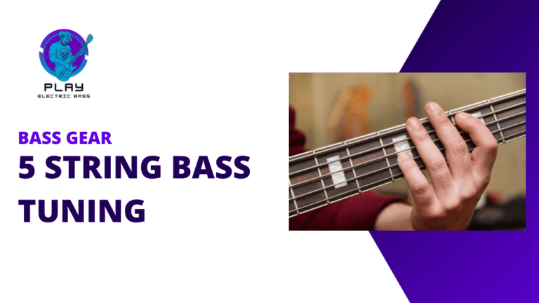 5 String Bass Tuning: What You Need to Know - playelectricbass.com
