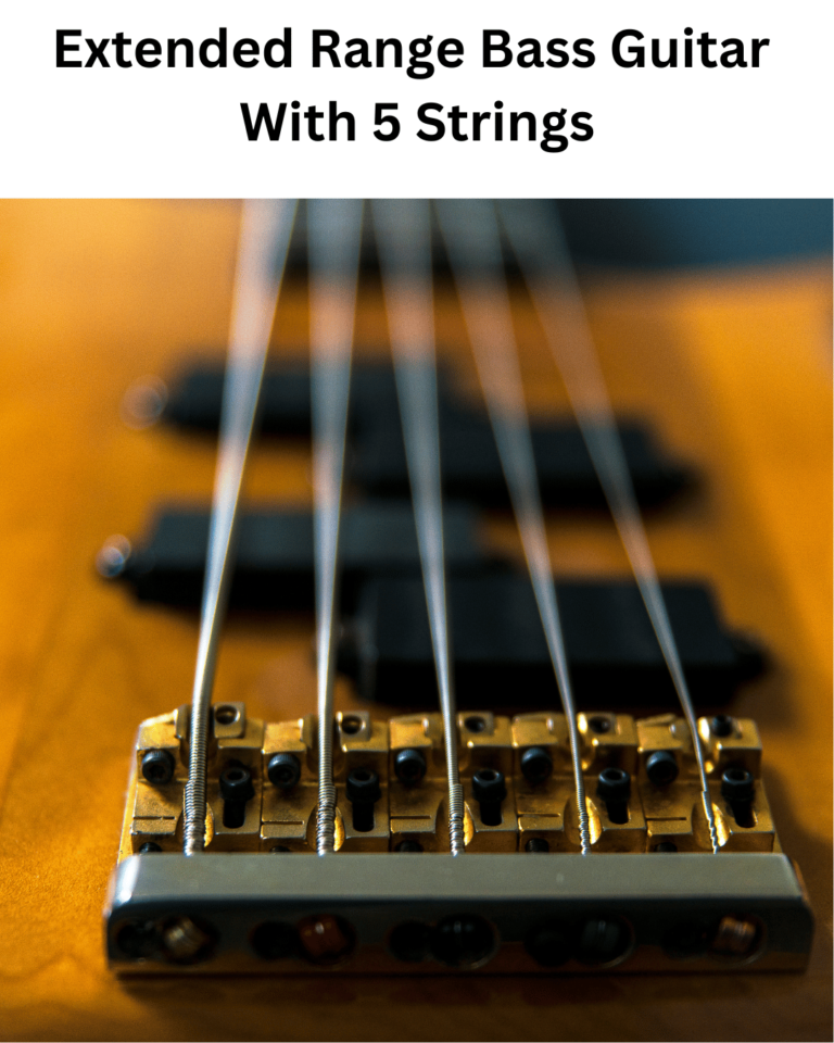 How Many Strings Does A Bass Guitar Have? - playelectricbass.com