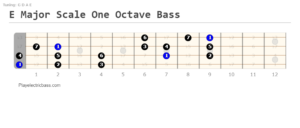 E Major Scale Bass Positions And Theory Explained - playelectricbass.com